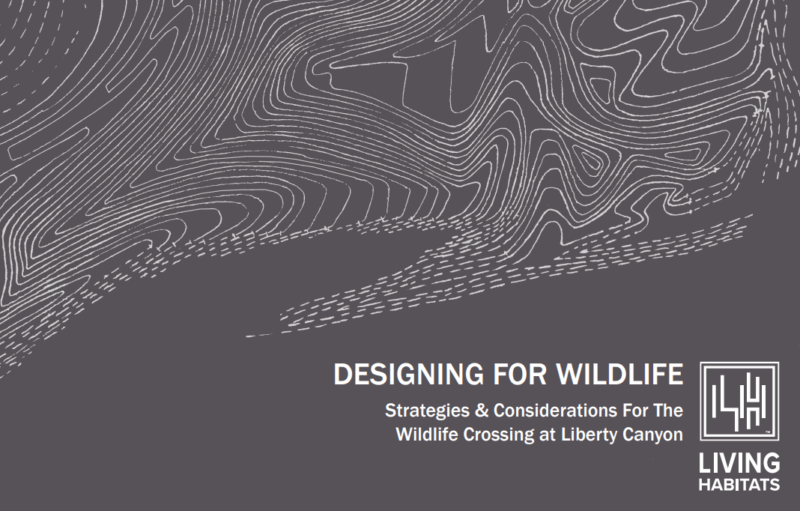 Crossing FAQ – 101 Wildlife Crossing