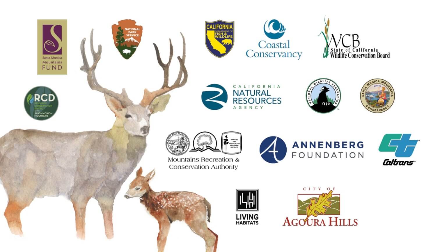 Liberty Wildlife Corridor Partners & Stakeholders – 101 Wildlife Crossing