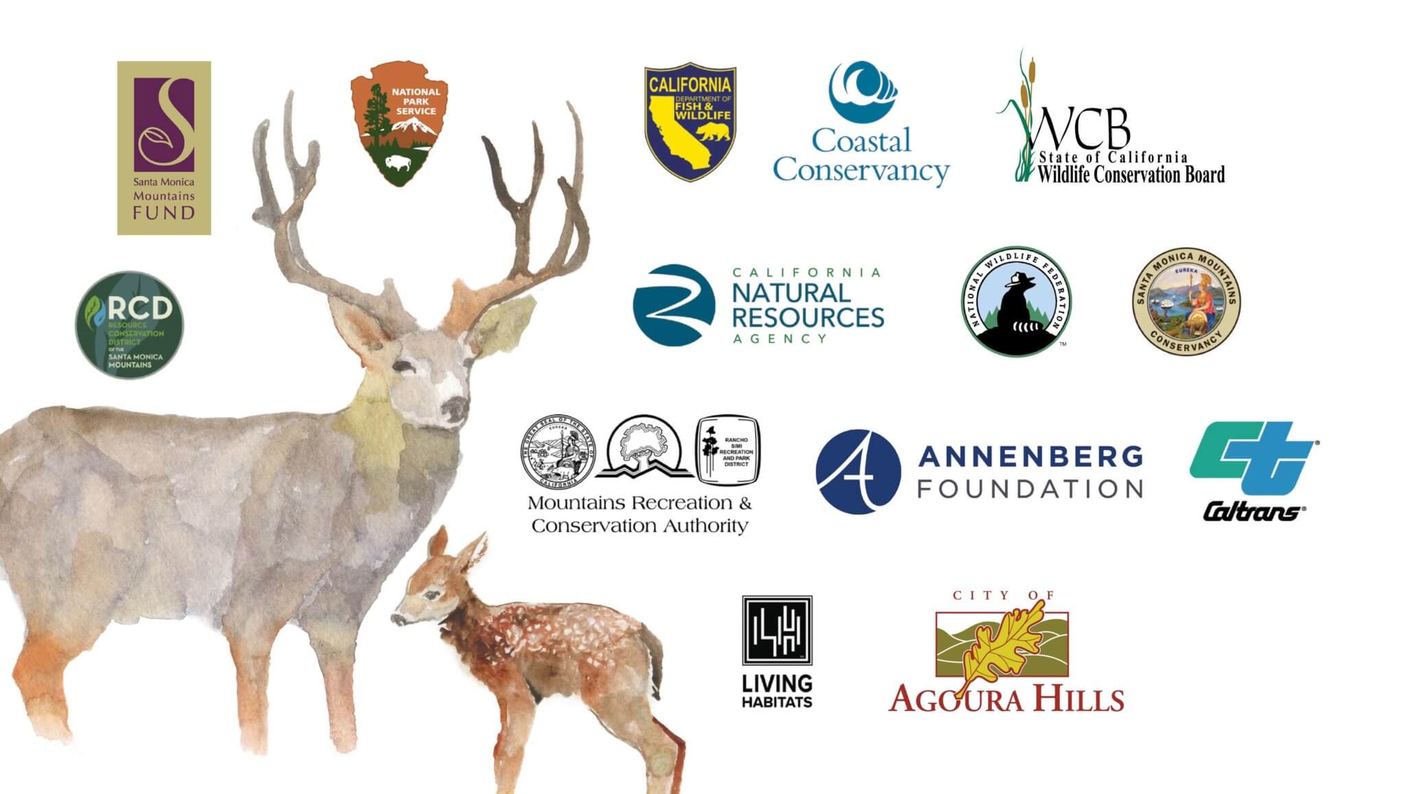 Liberty Wildlife Corridor Partners & Stakeholders – 101 Wildlife Crossing
