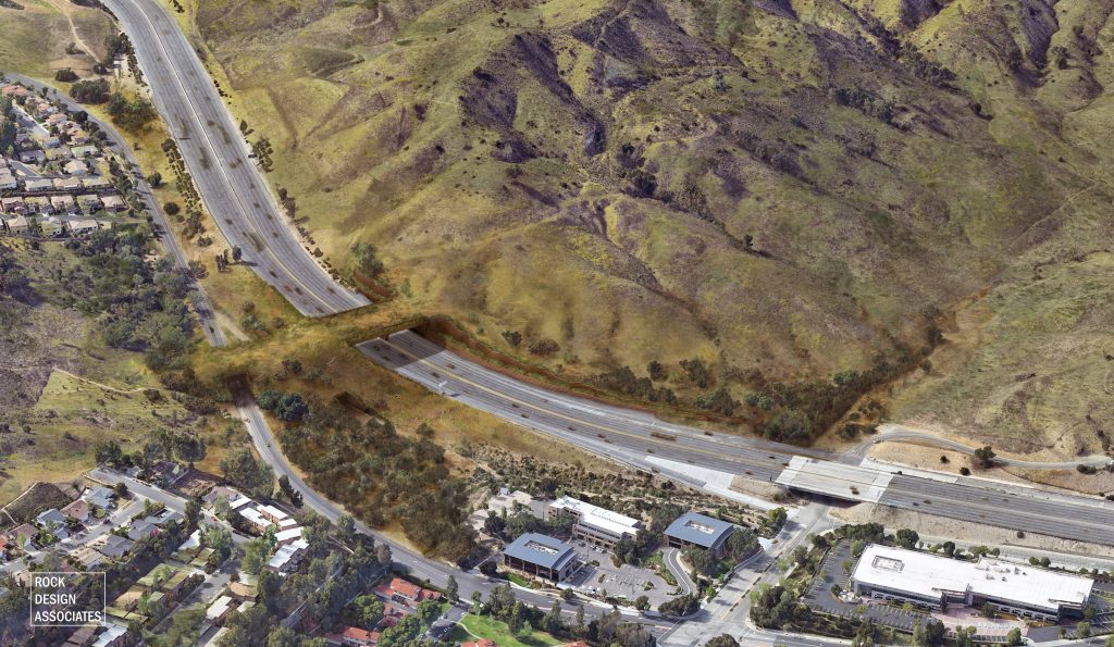 How wildlife crossings protect both animals and people – 101 Wildlife ...