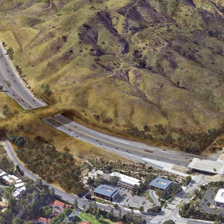 About the Project – 101 Wildlife Crossing